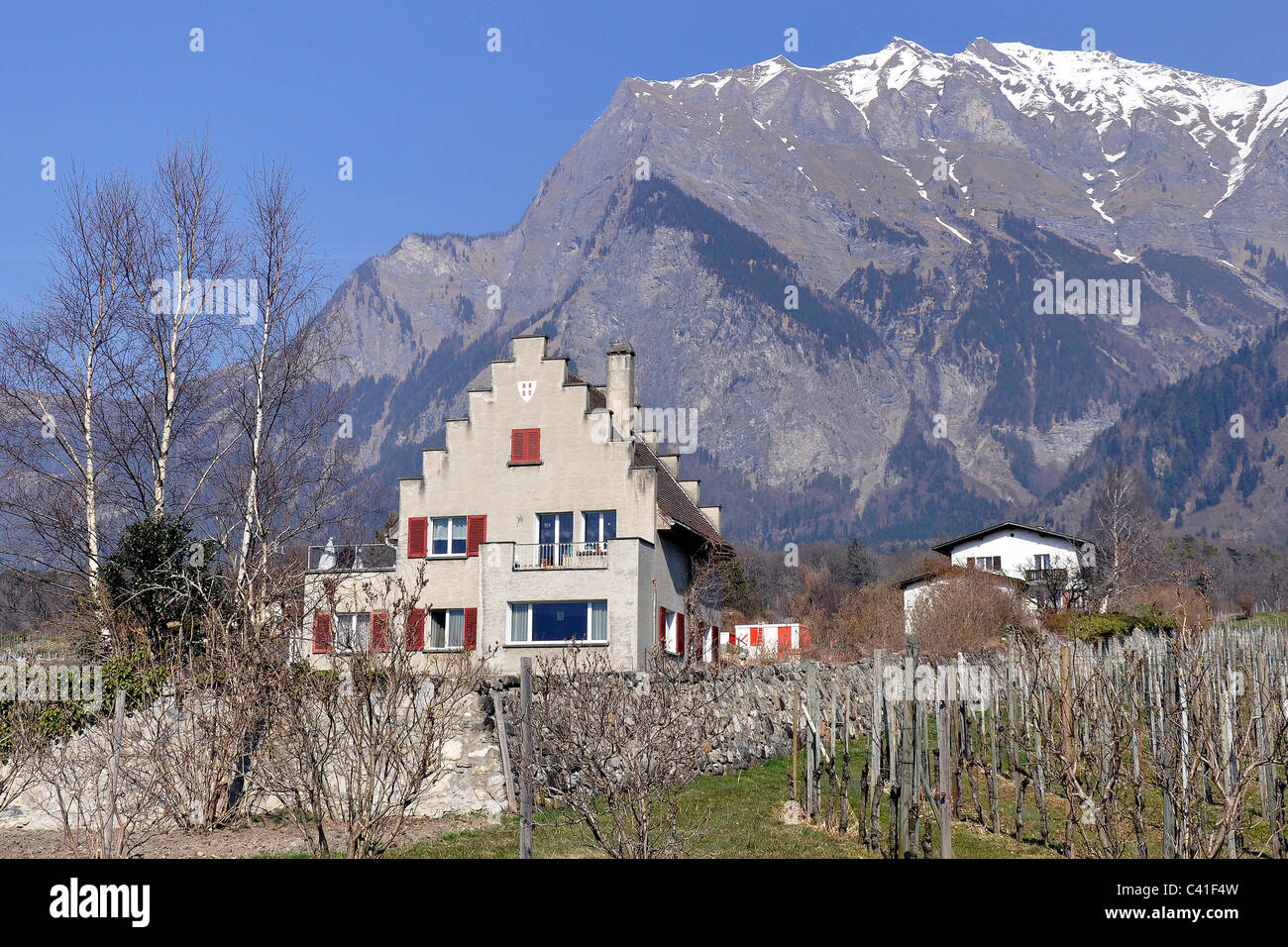Vineyards, Maienfeld, Switzerland Stock Photo - Alamy