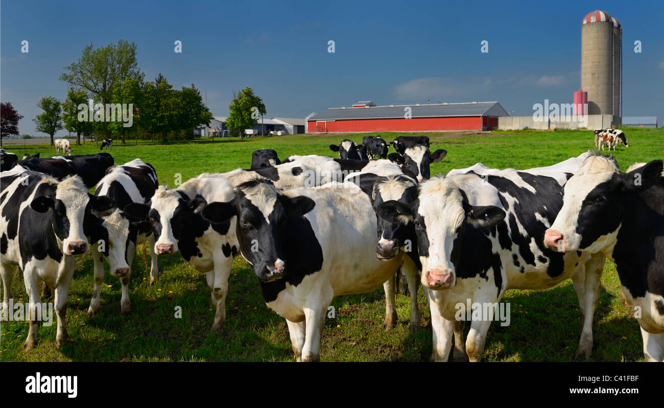 Barn silo on farm in hi-res stock photography and images - Alamy