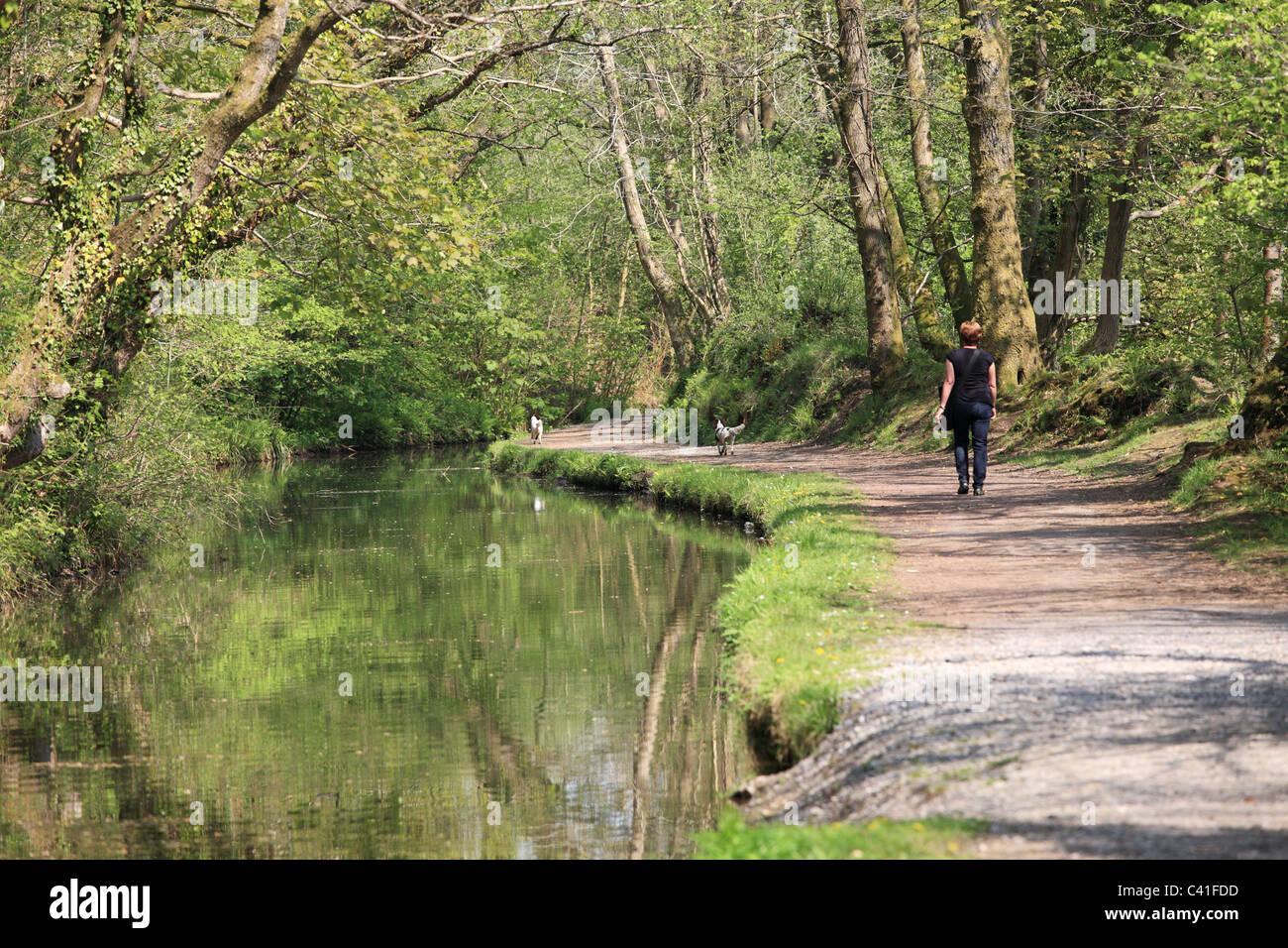 Resolven hi-res stock photography and images - Alamy