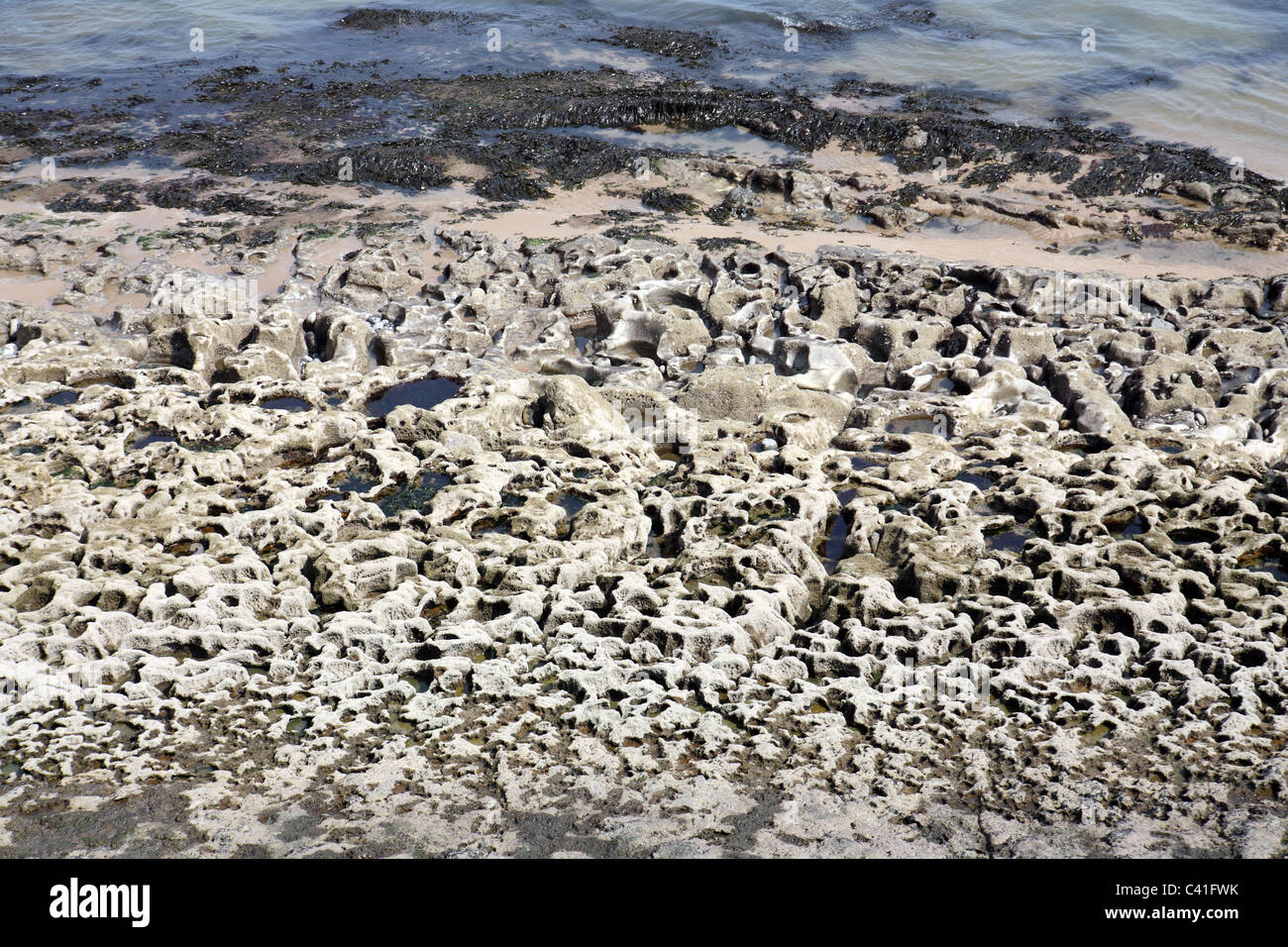 Limestone pavement showing clints and grikes, Oxwich Bay, Gower ...