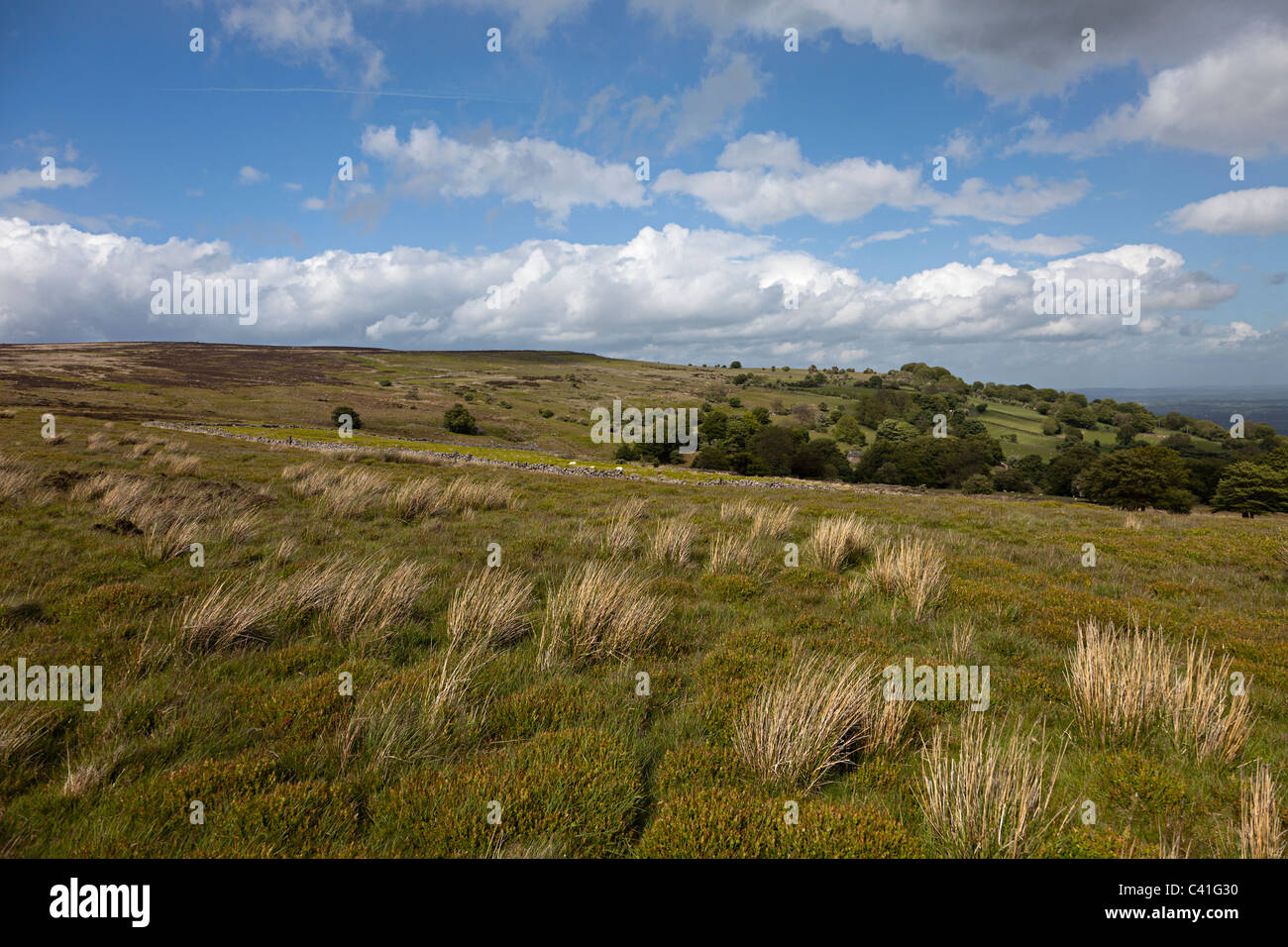 Moors wales hi-res stock photography and images - Alamy