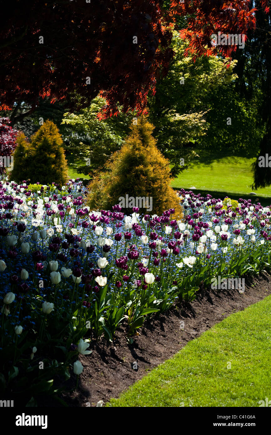 Spring Flower Garden for background Stock Photo - Alamy