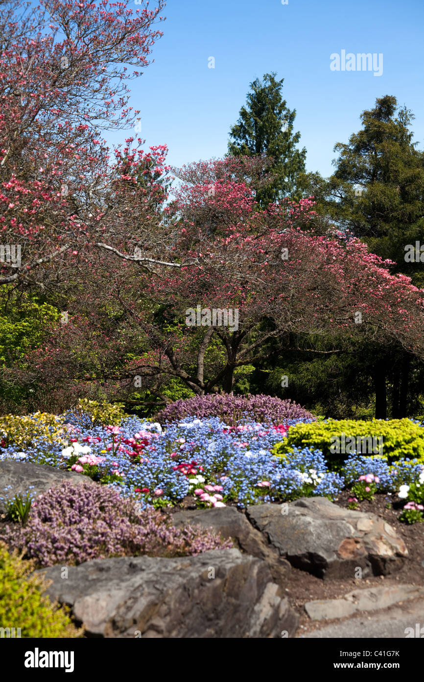 Spring Flower Garden for background Stock Photo - Alamy