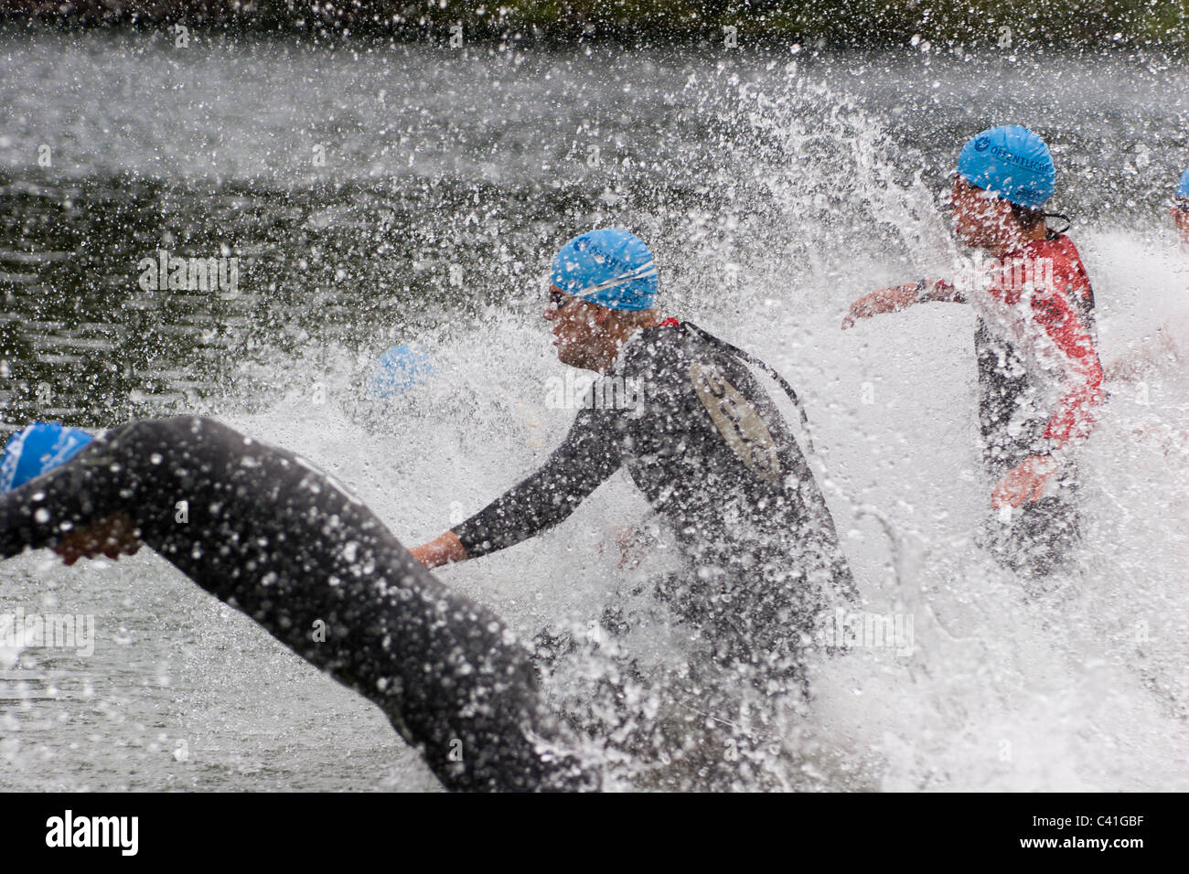 Triathlon competition. Swim contest starts Stock Photo - Alamy
