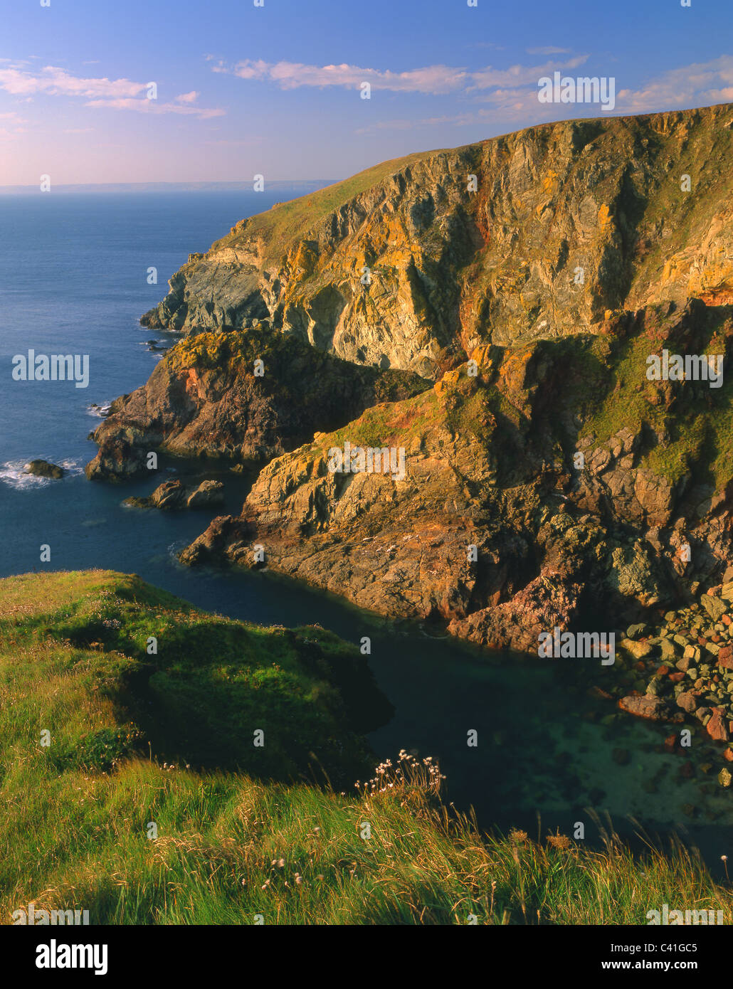 Bolt tail hi-res stock photography and images - Alamy