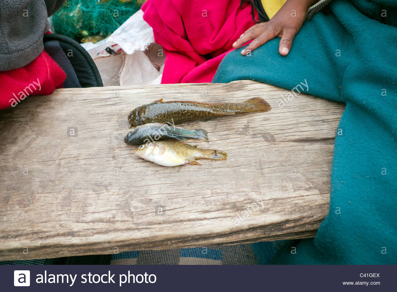 Natives Fishing High Resolution Stock Photography and Images - Alamy