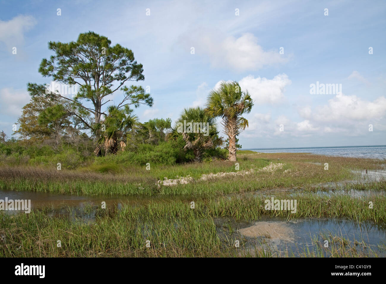 Maritime beaches hi-res stock photography and images - Alamy