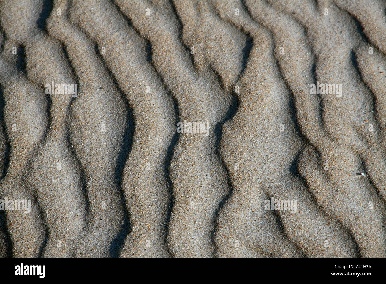 Ripples on sand dunes Florida USA Stock Photo - Alamy