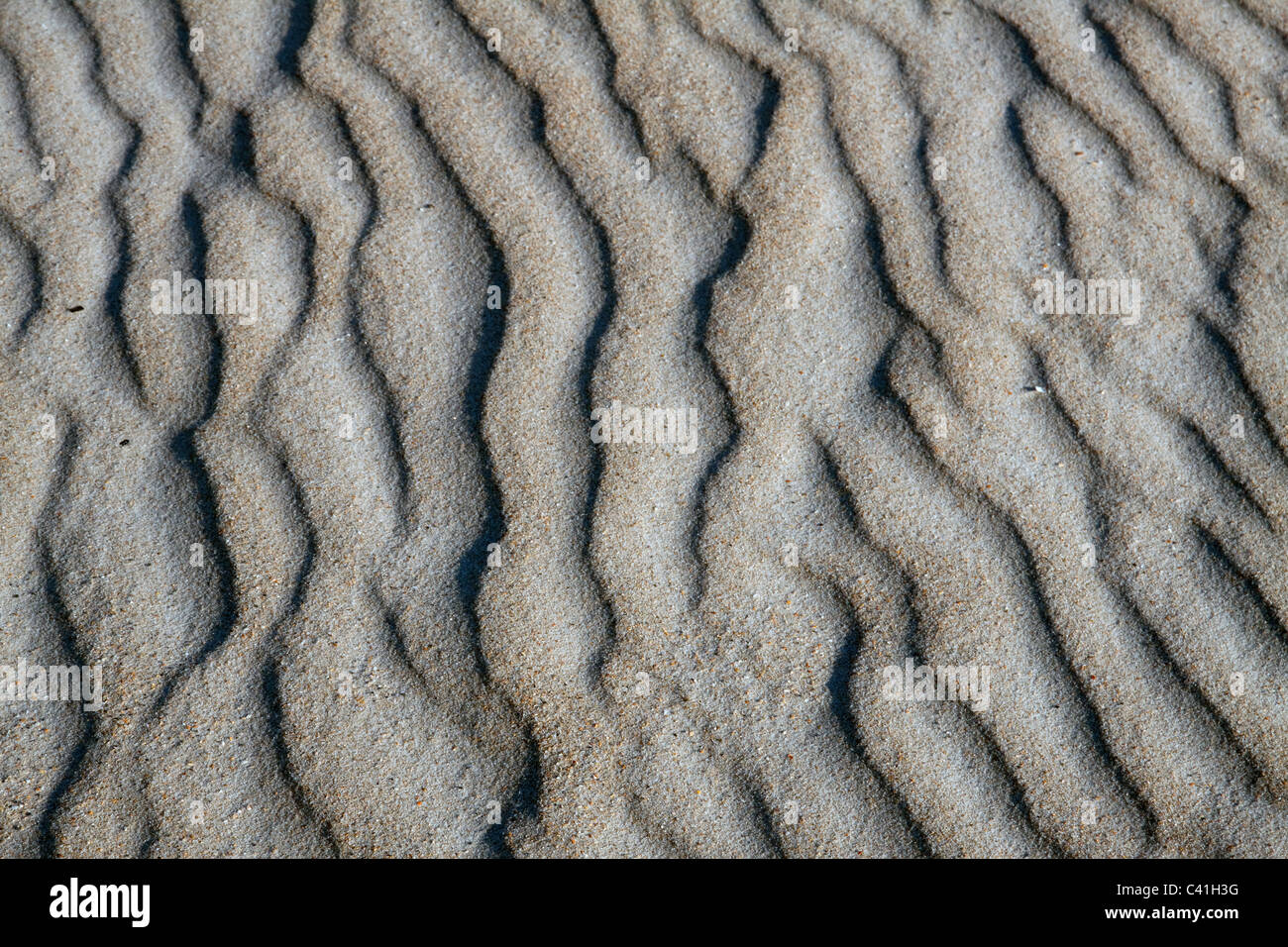 Ripples on sand dunes Florida USA Stock Photo - Alamy