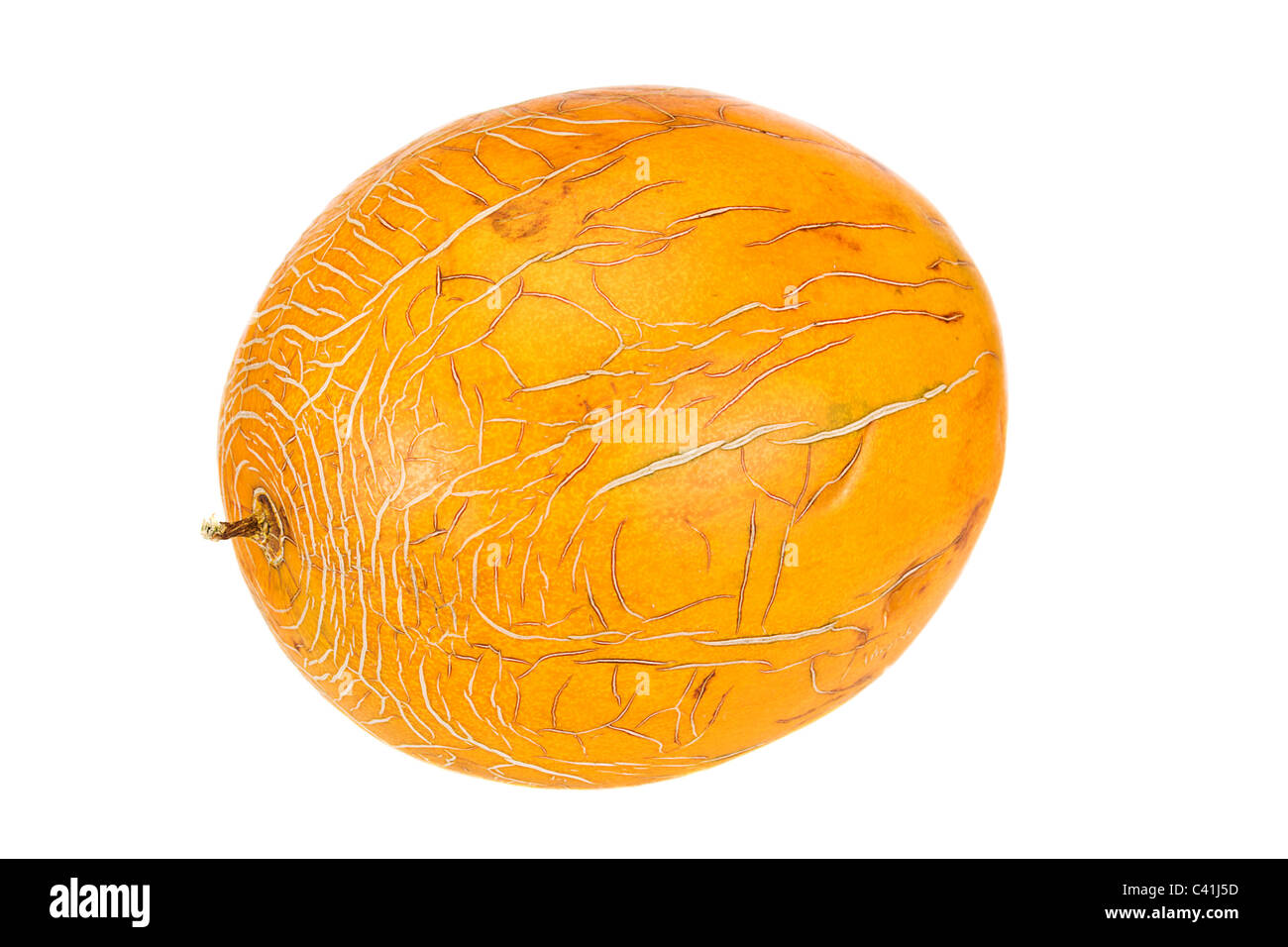 Cantaloupe melon on yellow Cut Out Stock Images & Pictures - Alamy