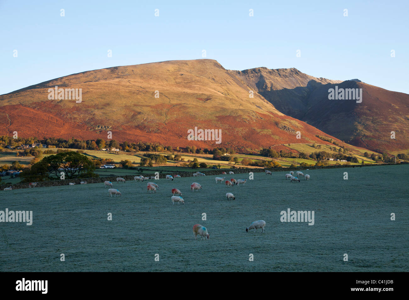 Castlerigg cumbria hi-res stock photography and images - Alamy