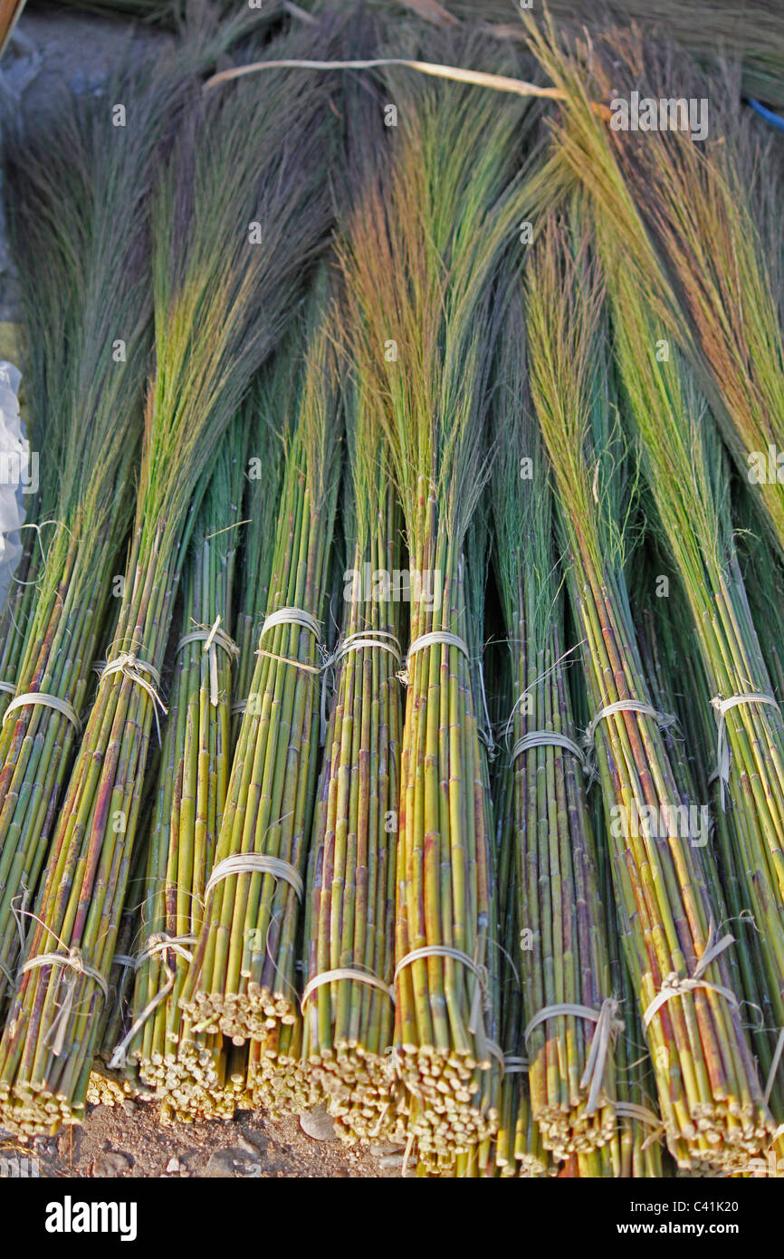 India brooms hi-res stock photography and images - Alamy