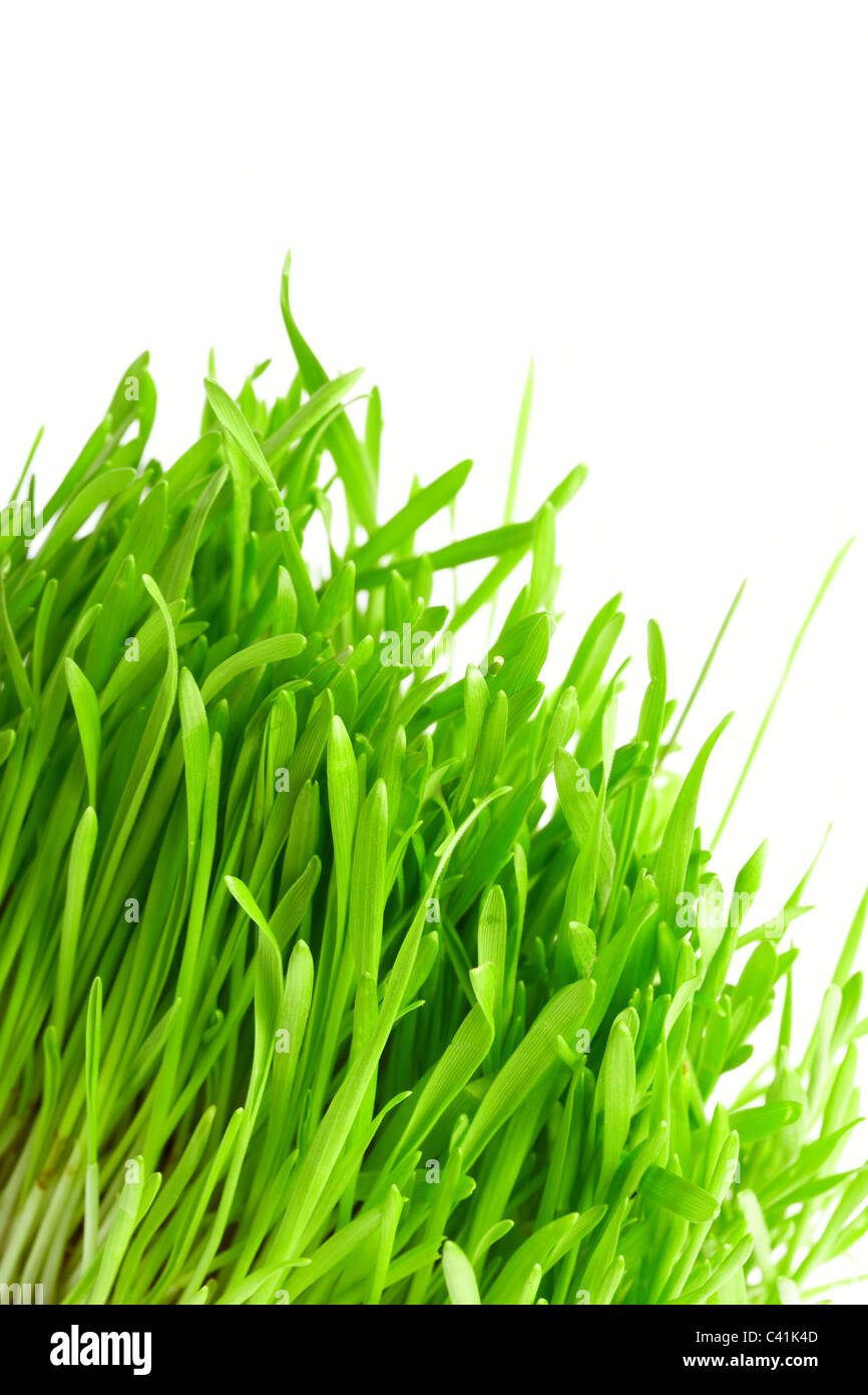 Grass nature nature base hi-res stock photography and images - Alamy