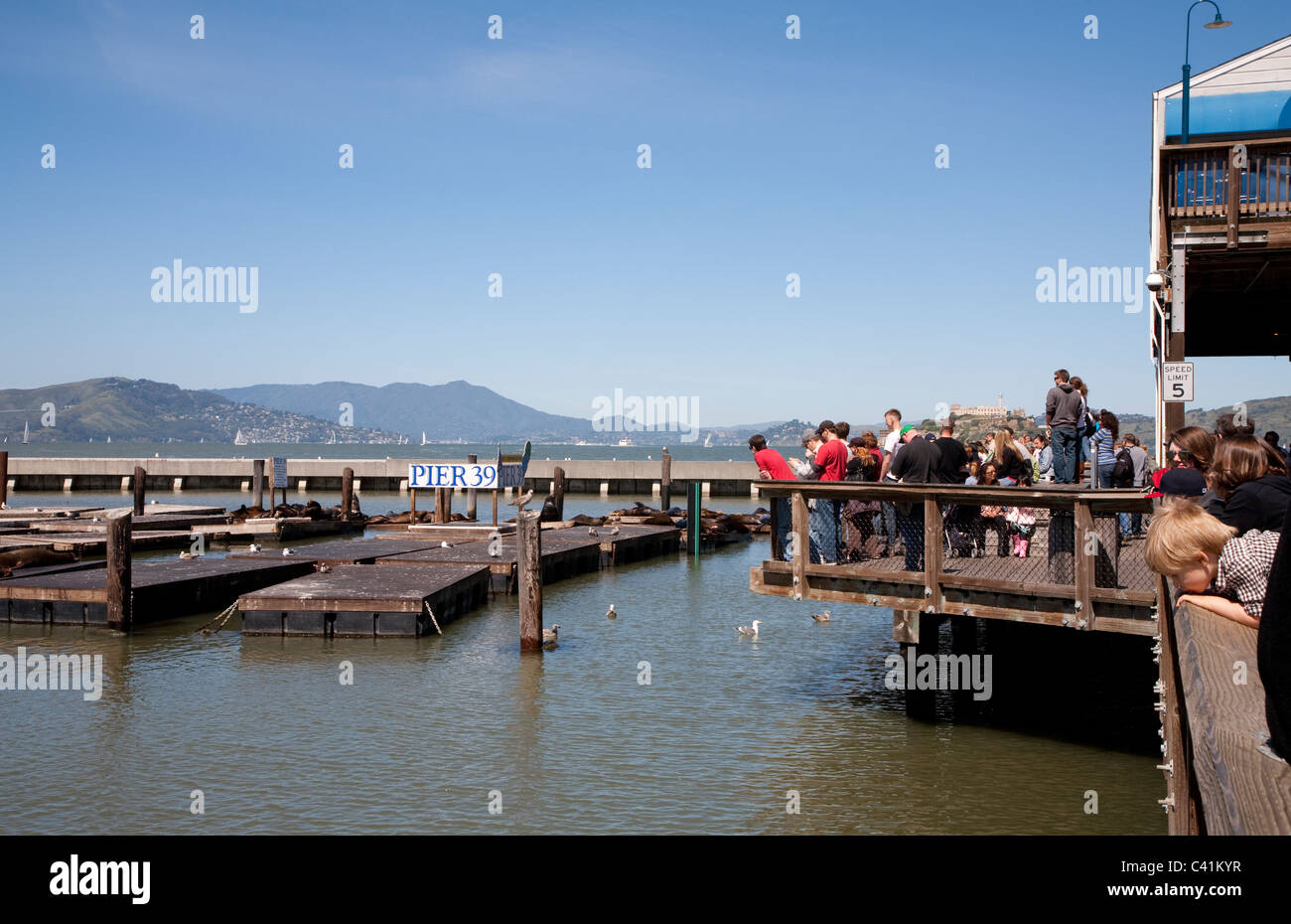 Missing sea lions at Pier 39, Fisherman's Wharf, San Francisco Stock ...