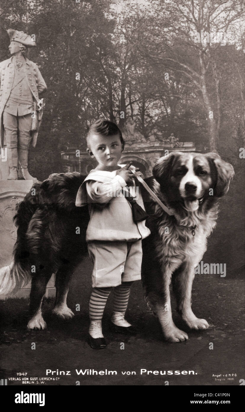 Imperial prince dog hi-res stock photography and images - Alamy