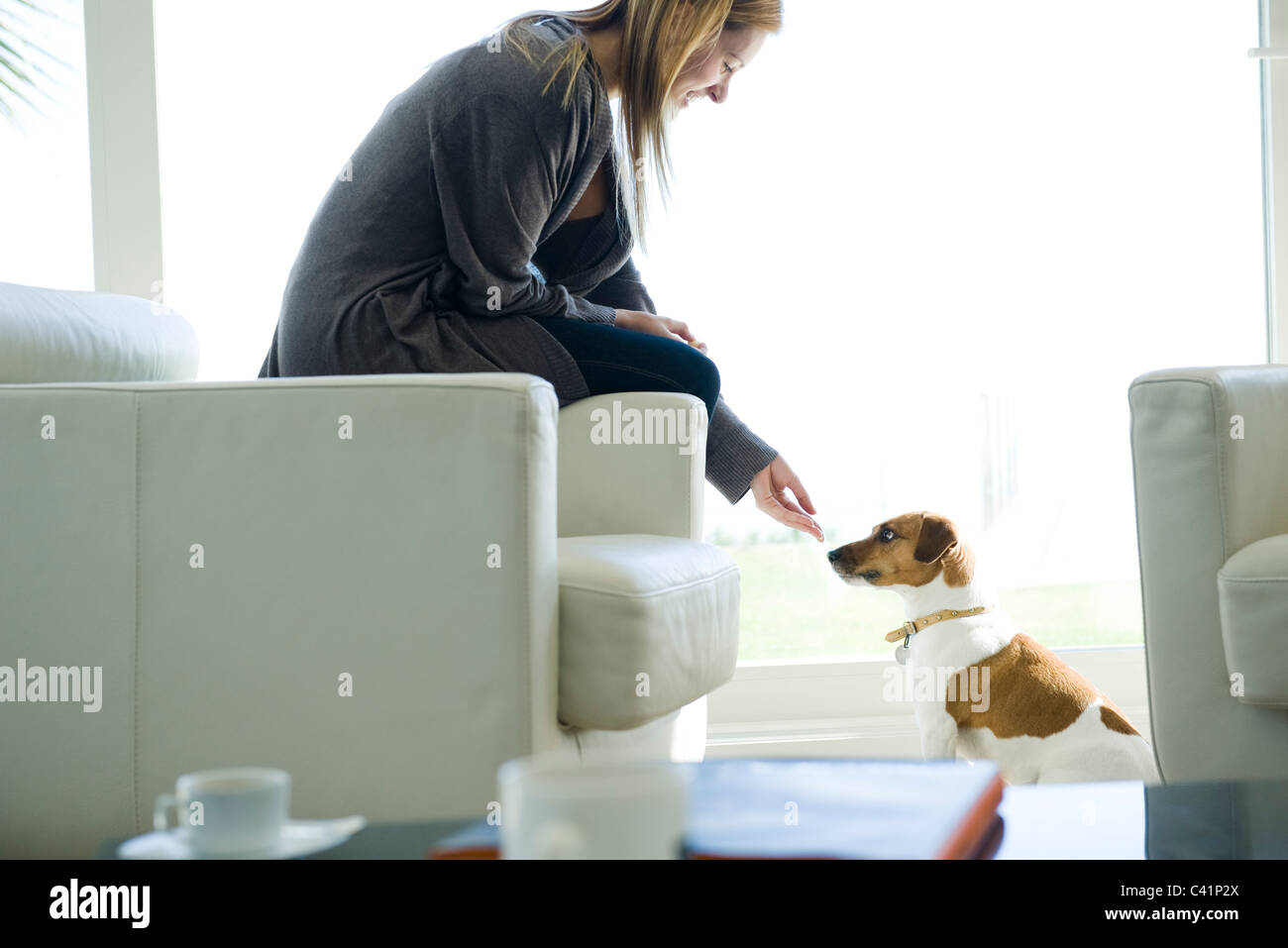 Letting the dog out hi-res stock photography and images - Alamy