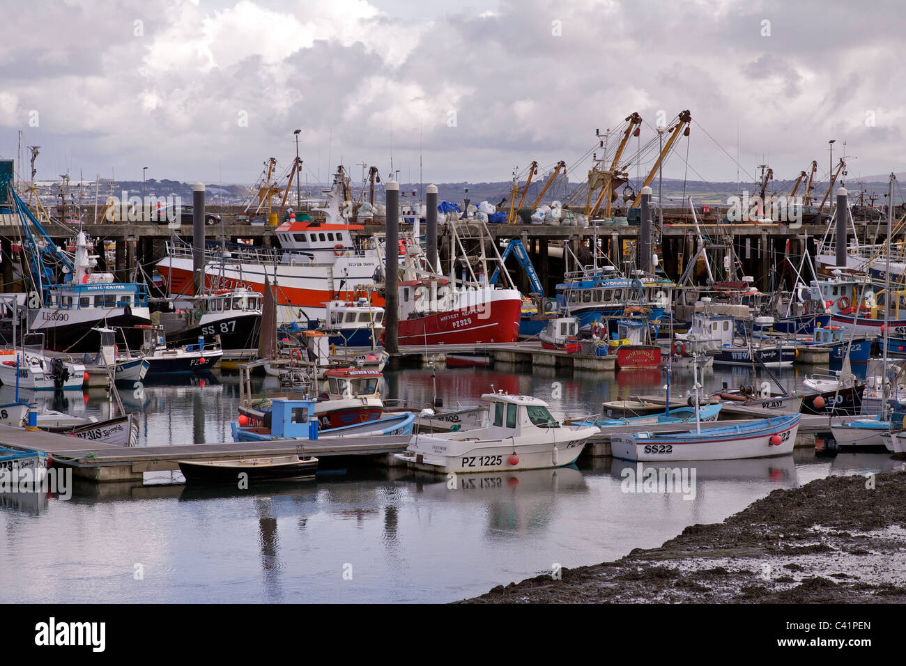 Newlyn harbour dockside with many boats and trawlers moored at low tide ...