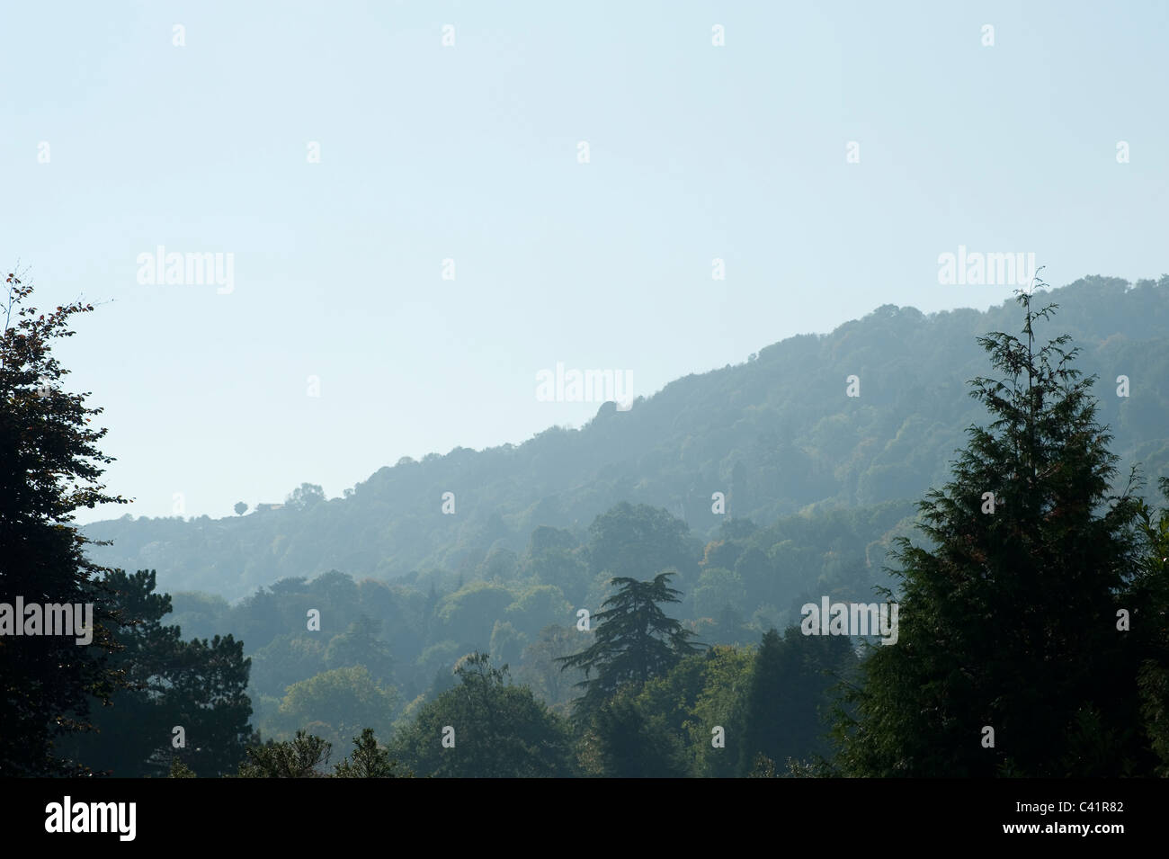 Beautiful view of a tree covered hillside in the English countryside ...