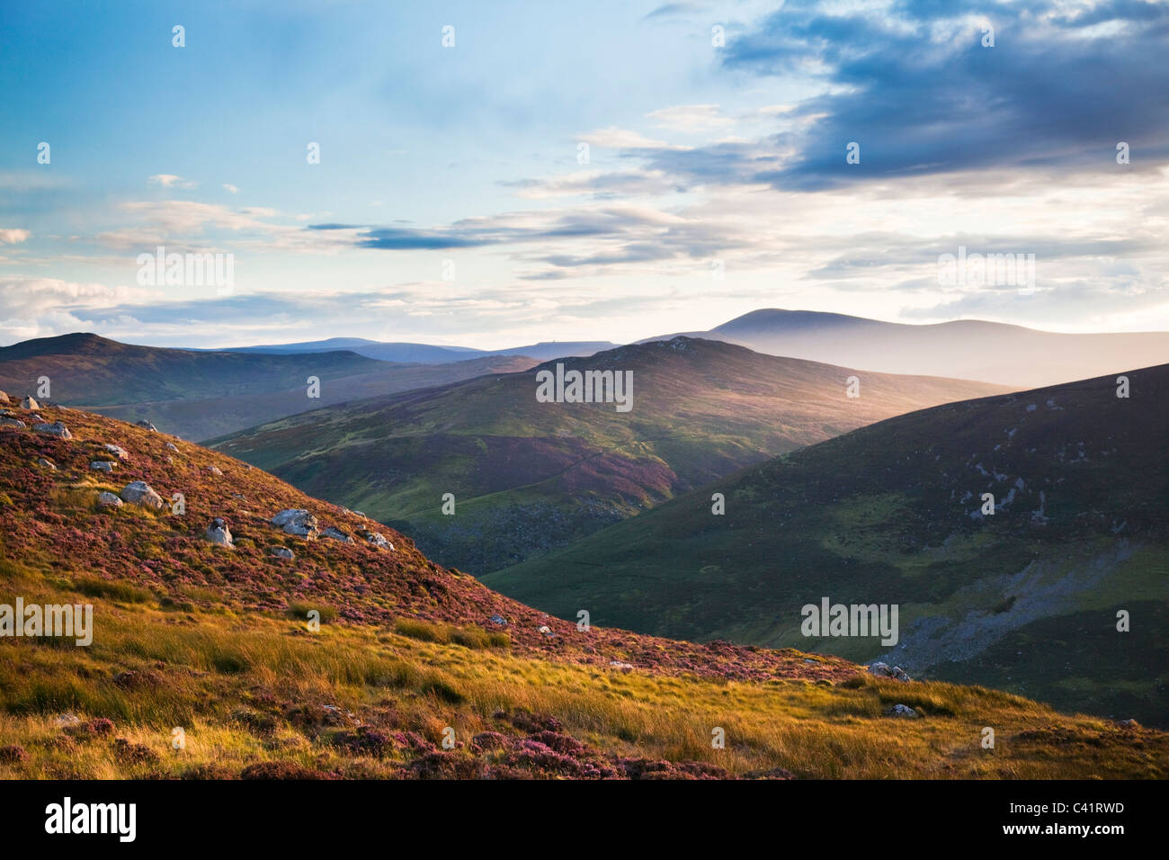 Evening in the Wicklow Mountains, County Wicklow, Ireland Stock Photo ...