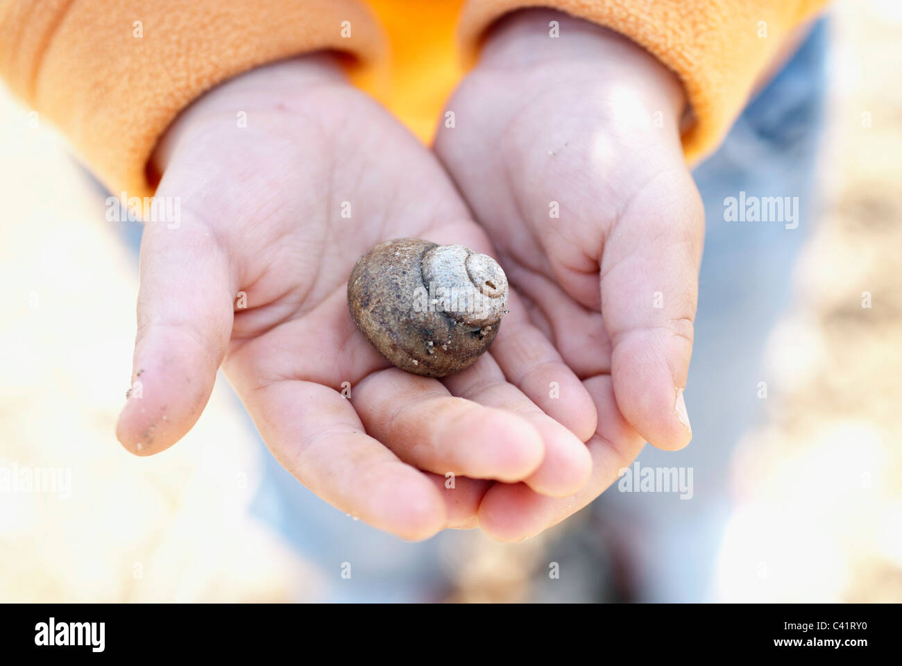 Hand s holding cosmetics hi-res stock photography and images - Alamy