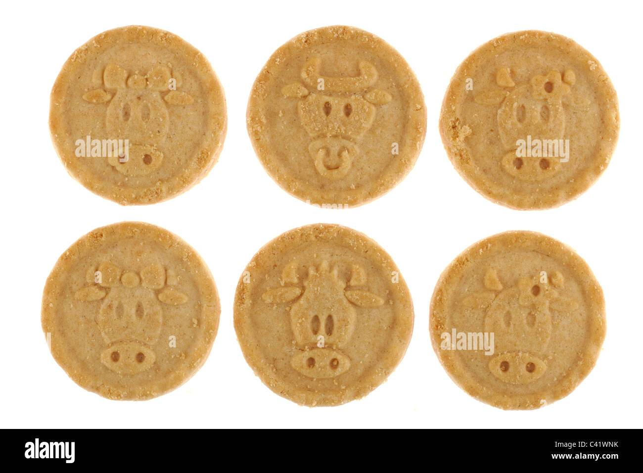 6 cows Cut Out Stock Images & Pictures - Alamy