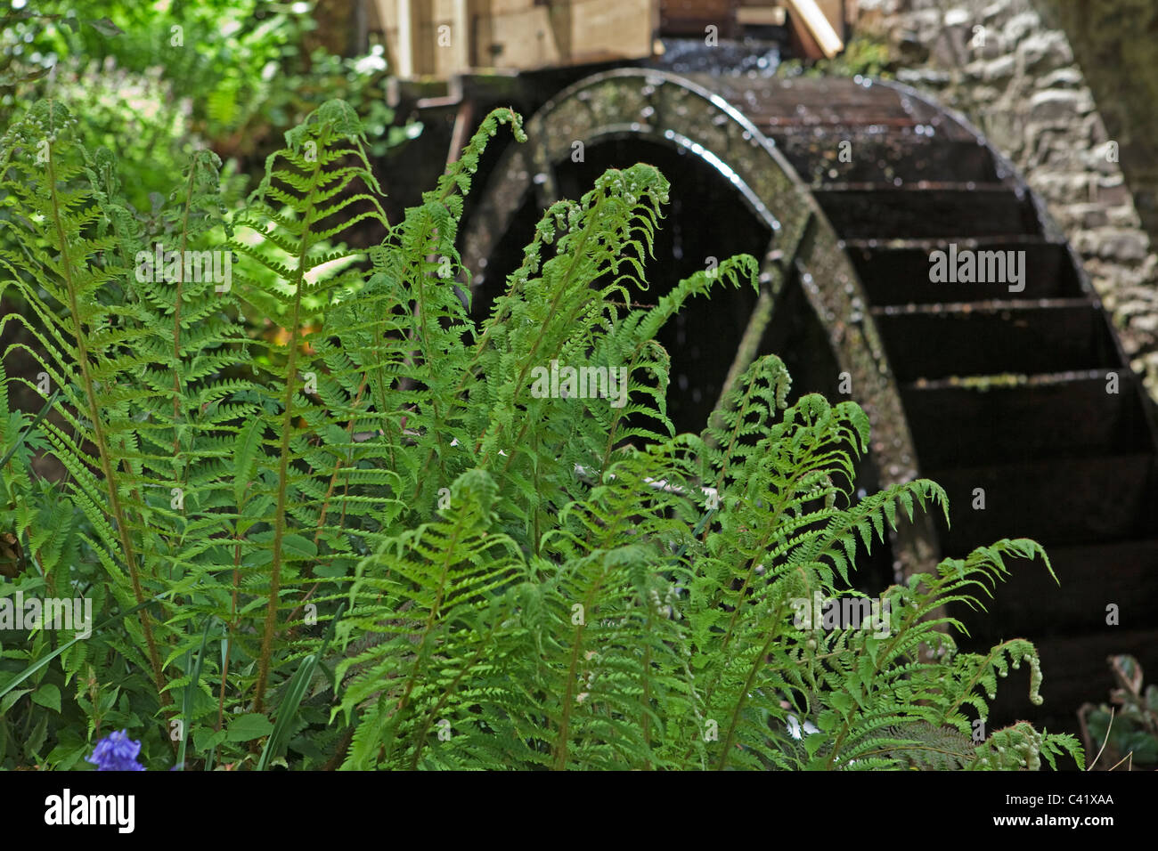Water mill wheel hi-res stock photography and images - Alamy