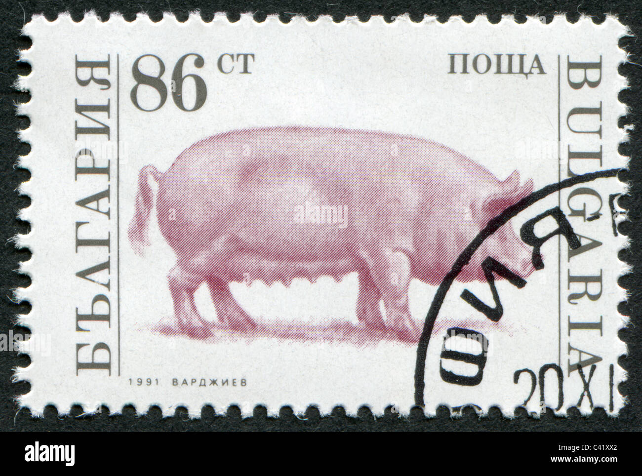 BULGARIA-1991: A stamp printed in the Bulgaria, devoted to the animals ...