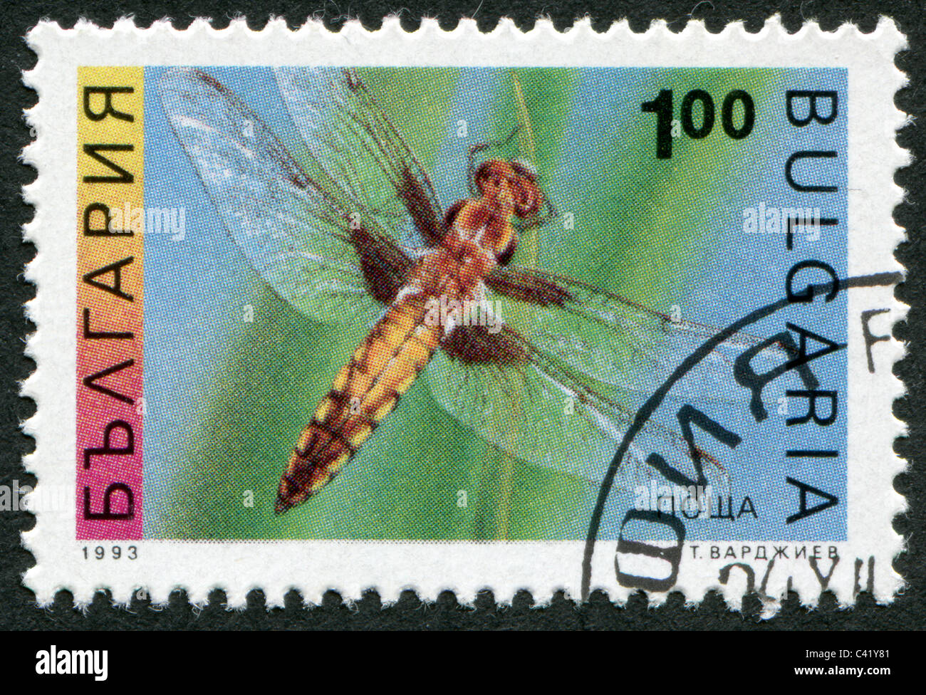 BULGARIA-1993: A stamp printed in the Bulgaria, shows the insect, Four ...