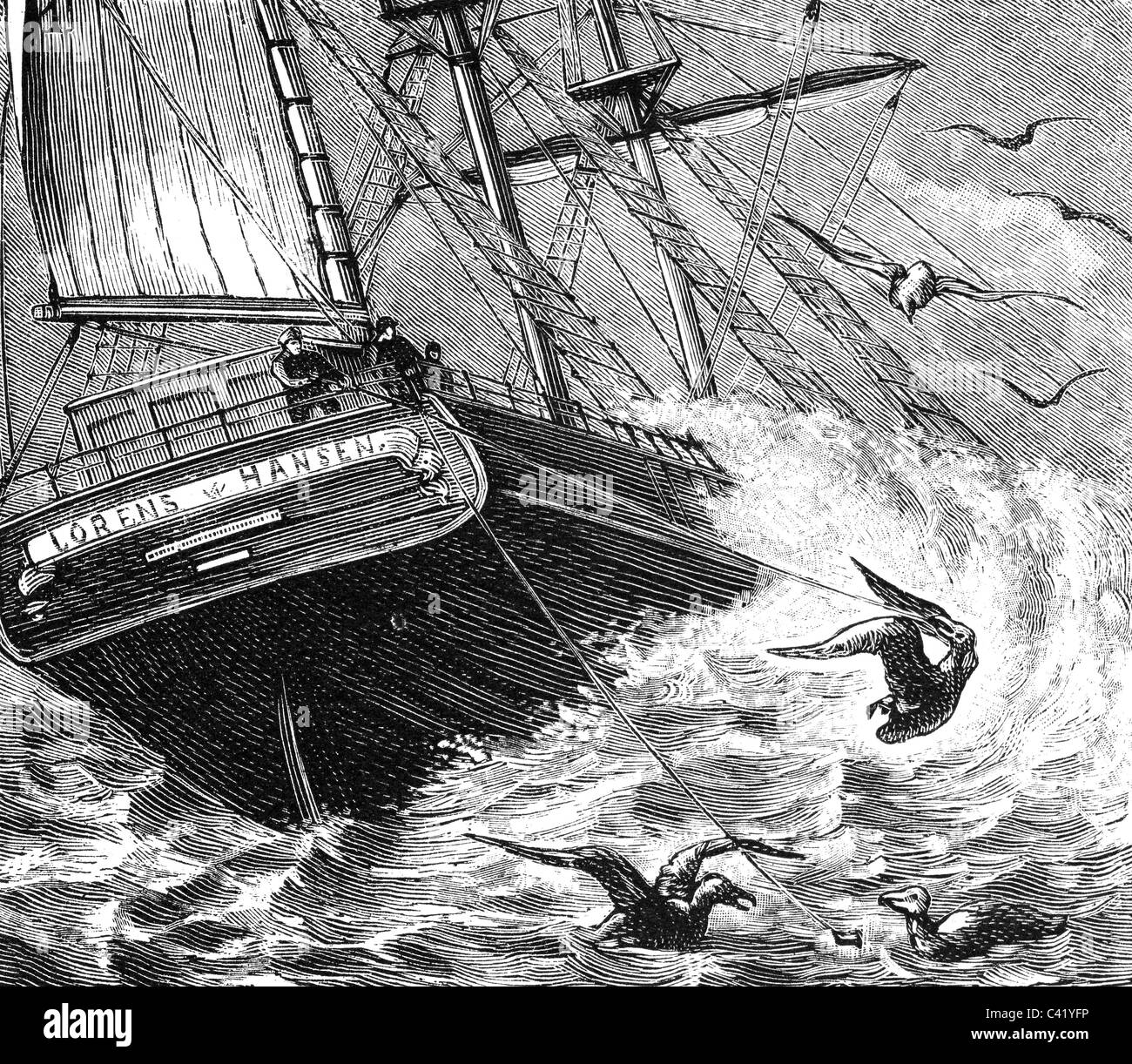 transport / transportation, navigation, live and labour on a ship ...