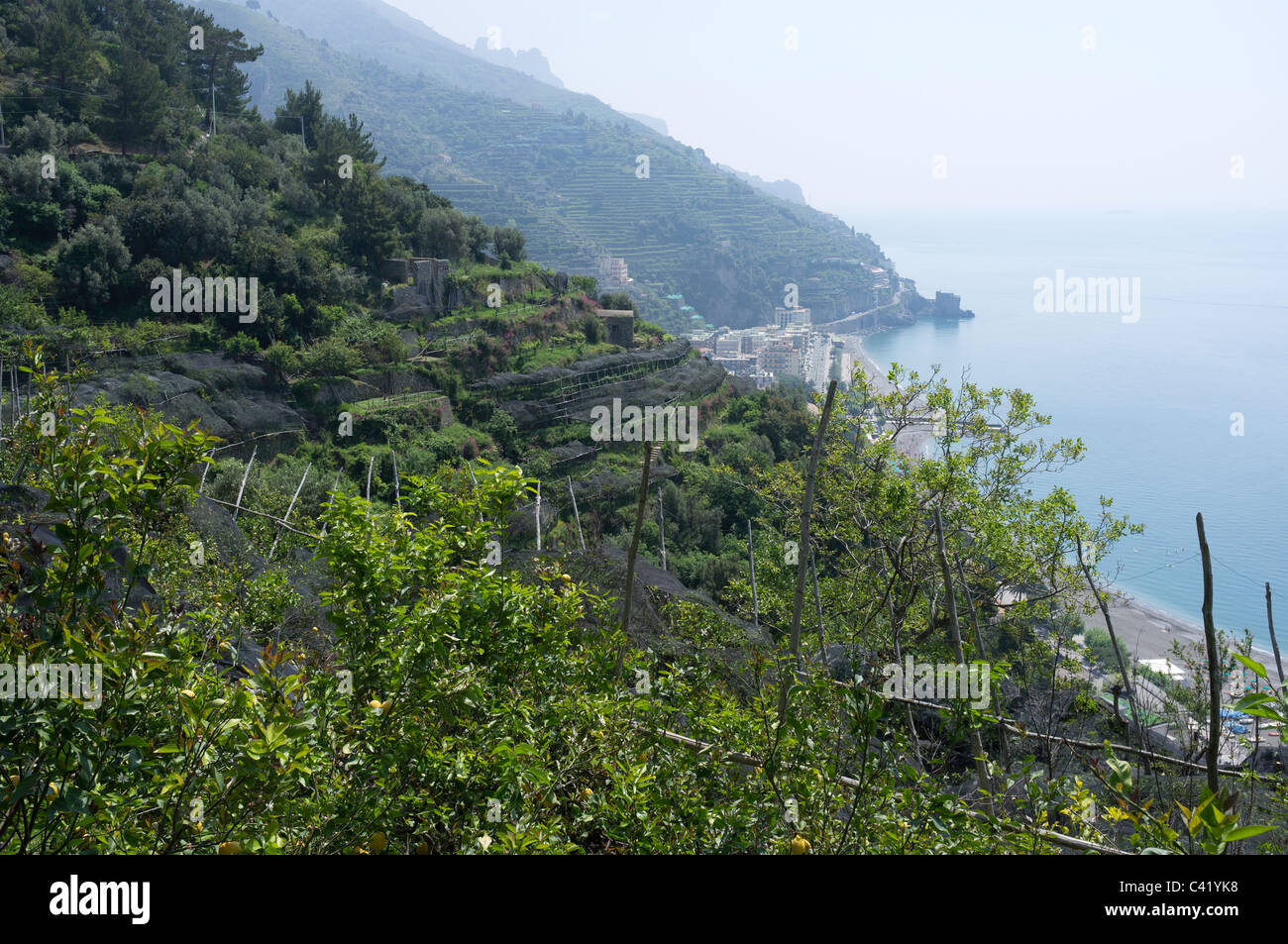 Lemon groves amalfi italy hi-res stock photography and images - Alamy