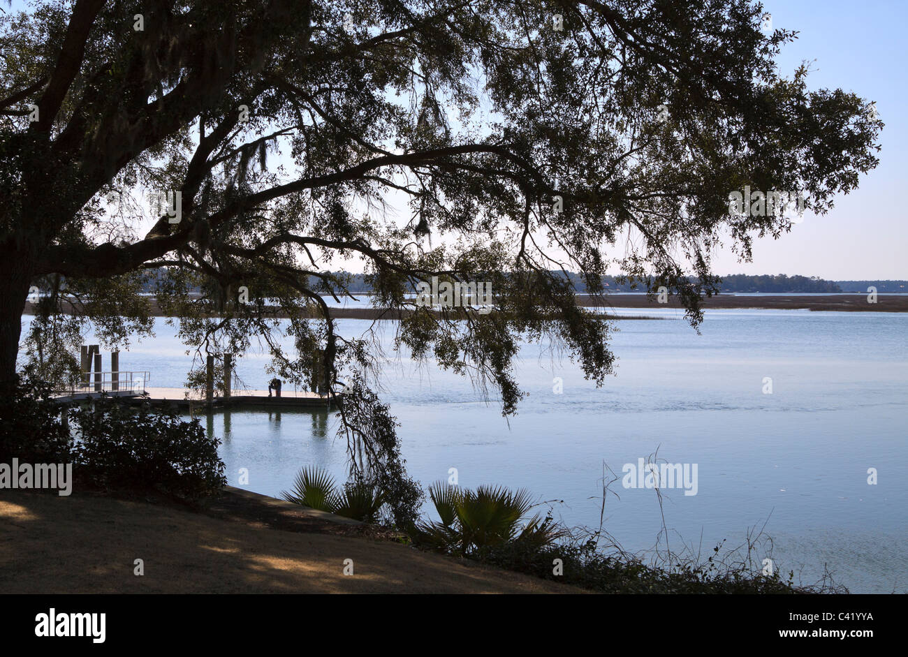 View of the seamarsh of the May River seen through the leaves of a live ...