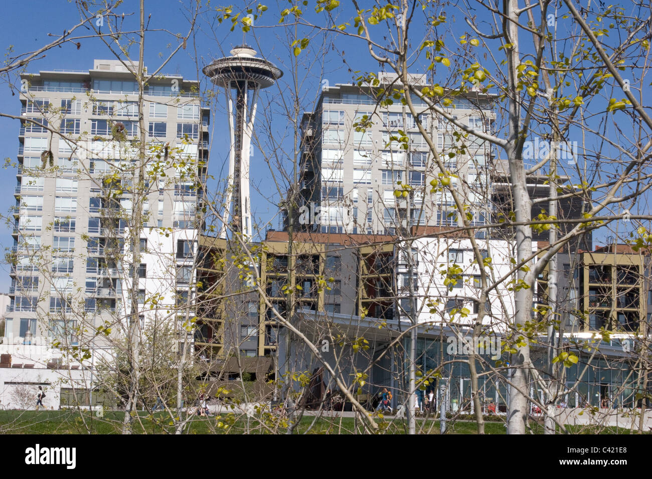 Space Needle, PACCAR Pavilion, and apartment buildings seen through a ...