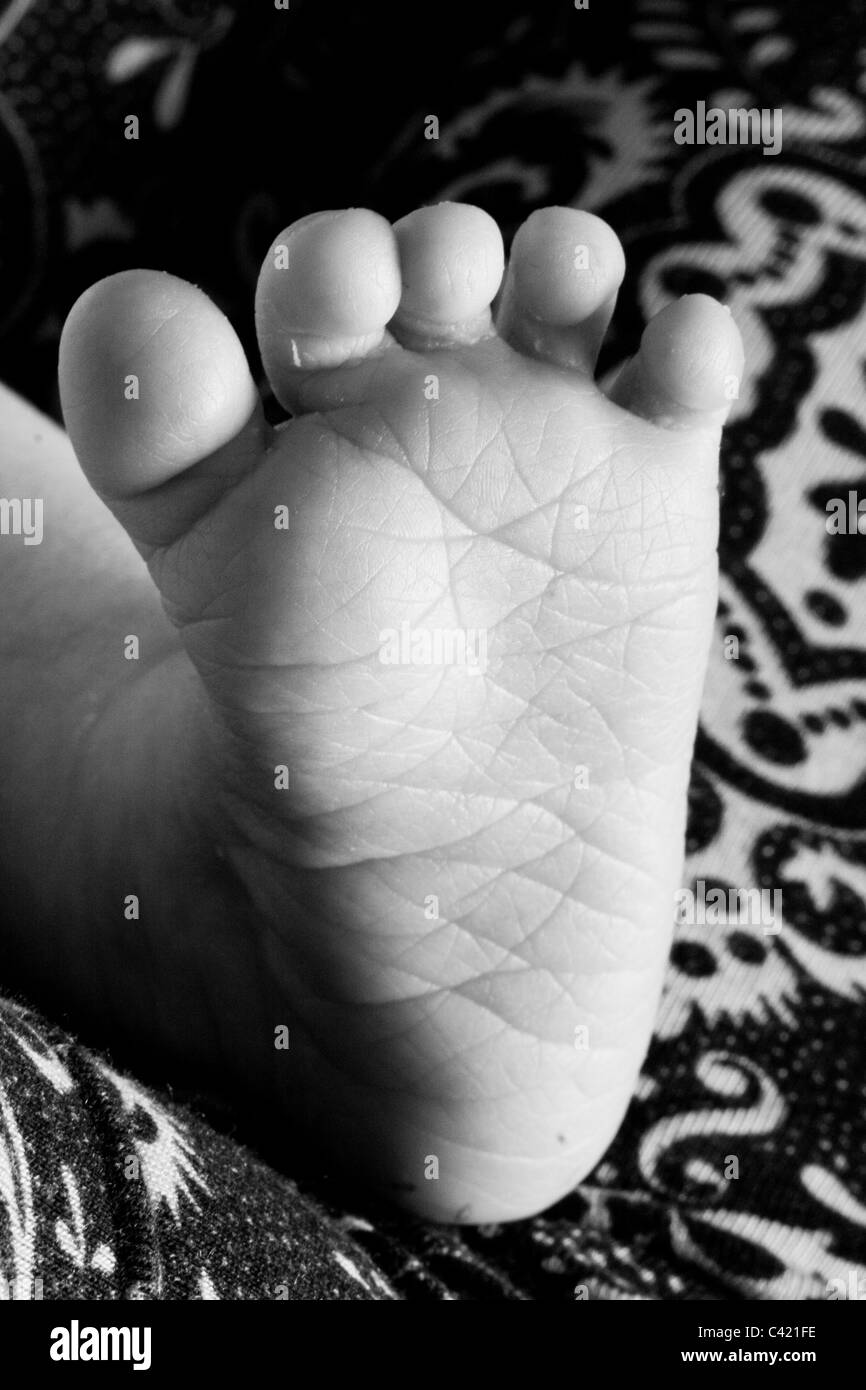 Baby foot on damask chair Stock Photo - Alamy