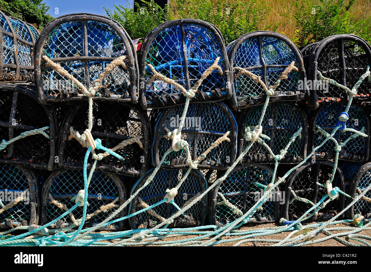 Lobster trap rope hi-res stock photography and images - Alamy