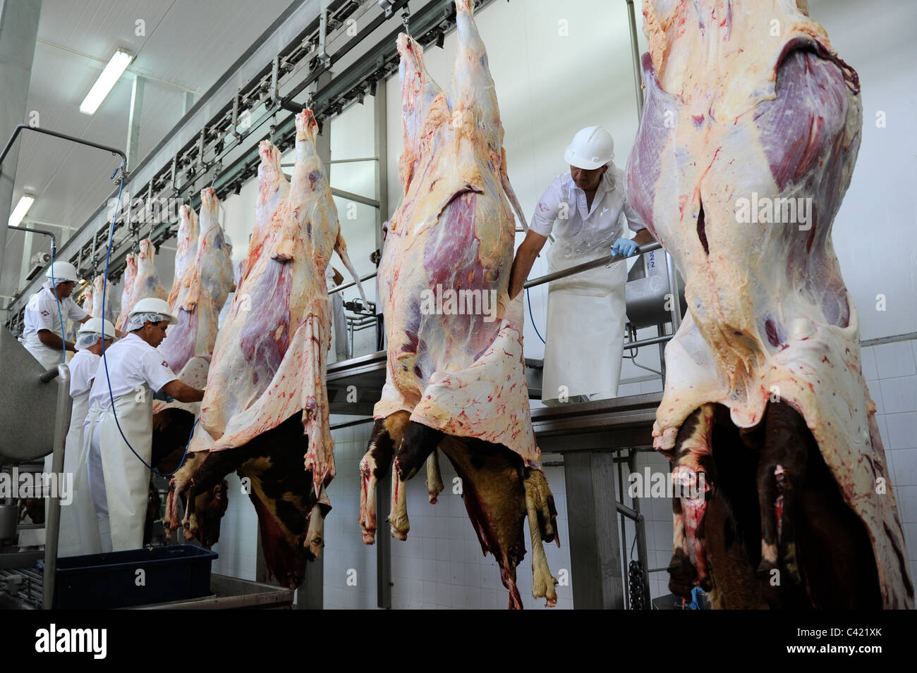 Beef Slaughterhouse Building