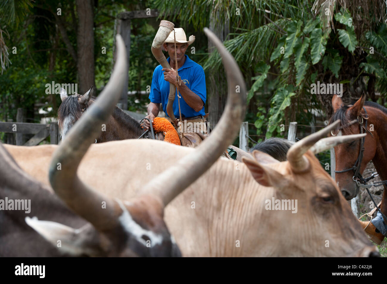 Pantanal cowboy hi-res stock photography and images - Alamy