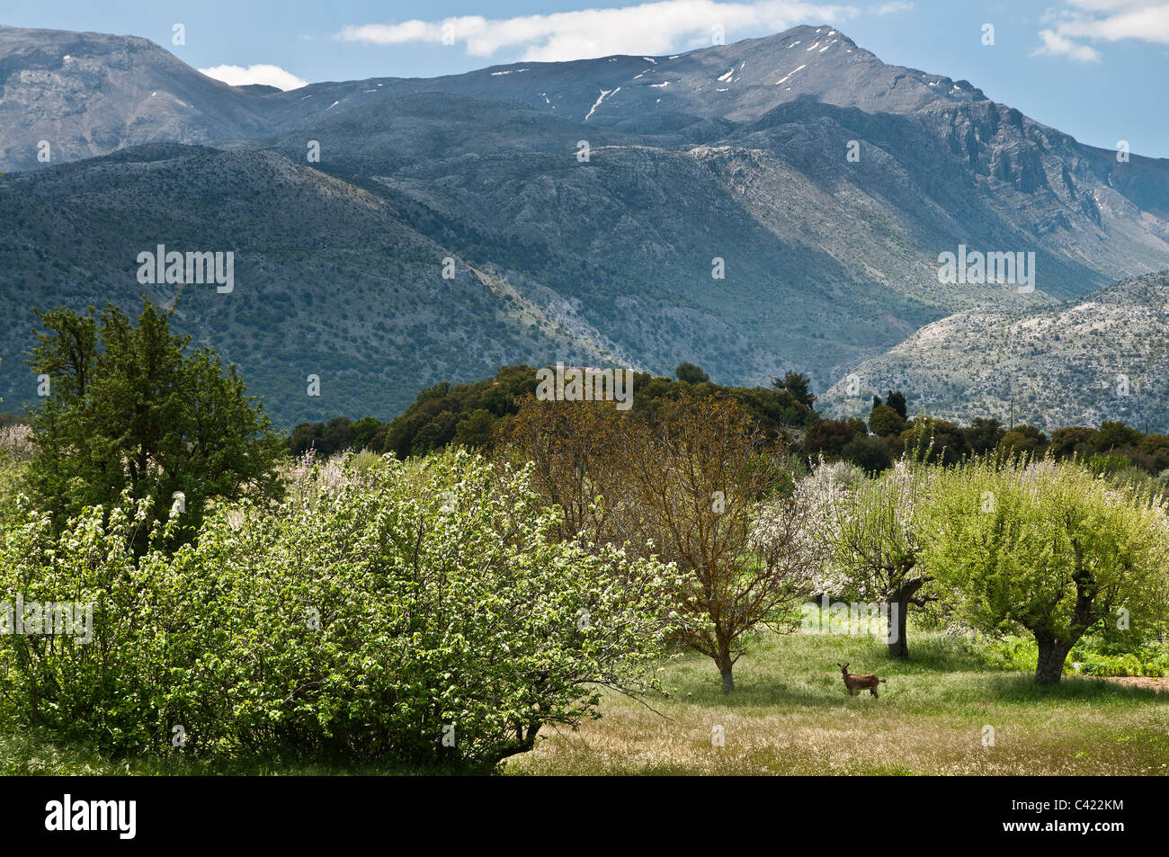 Mount dikti in hi-res stock photography and images - Alamy