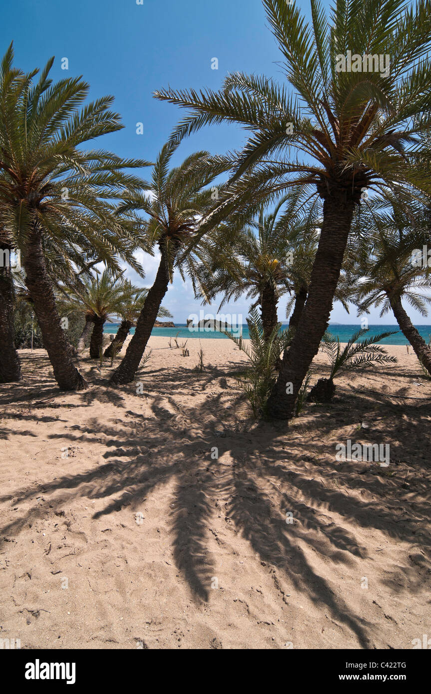 Palm trees greece hi-res stock photography and images - Alamy