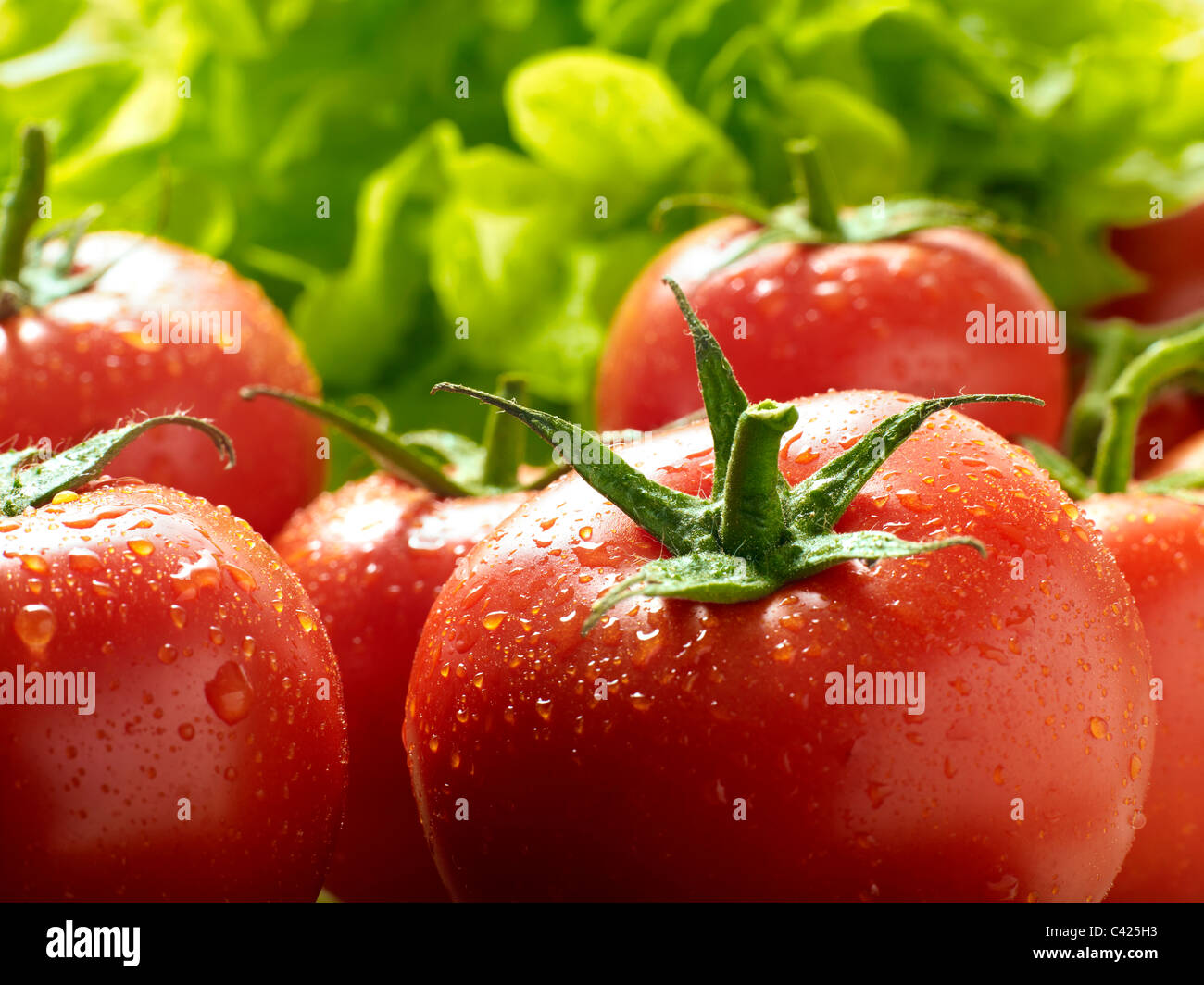 Truss tomatoes hi-res stock photography and images - Alamy