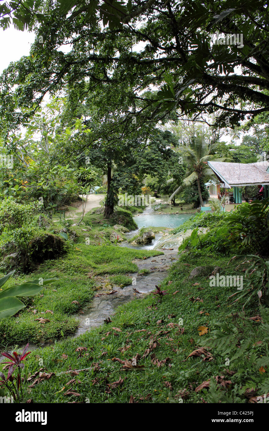 TRANQUIL RIVER SCENE VANUATU VERTICAL BDA Stock Photo - Alamy