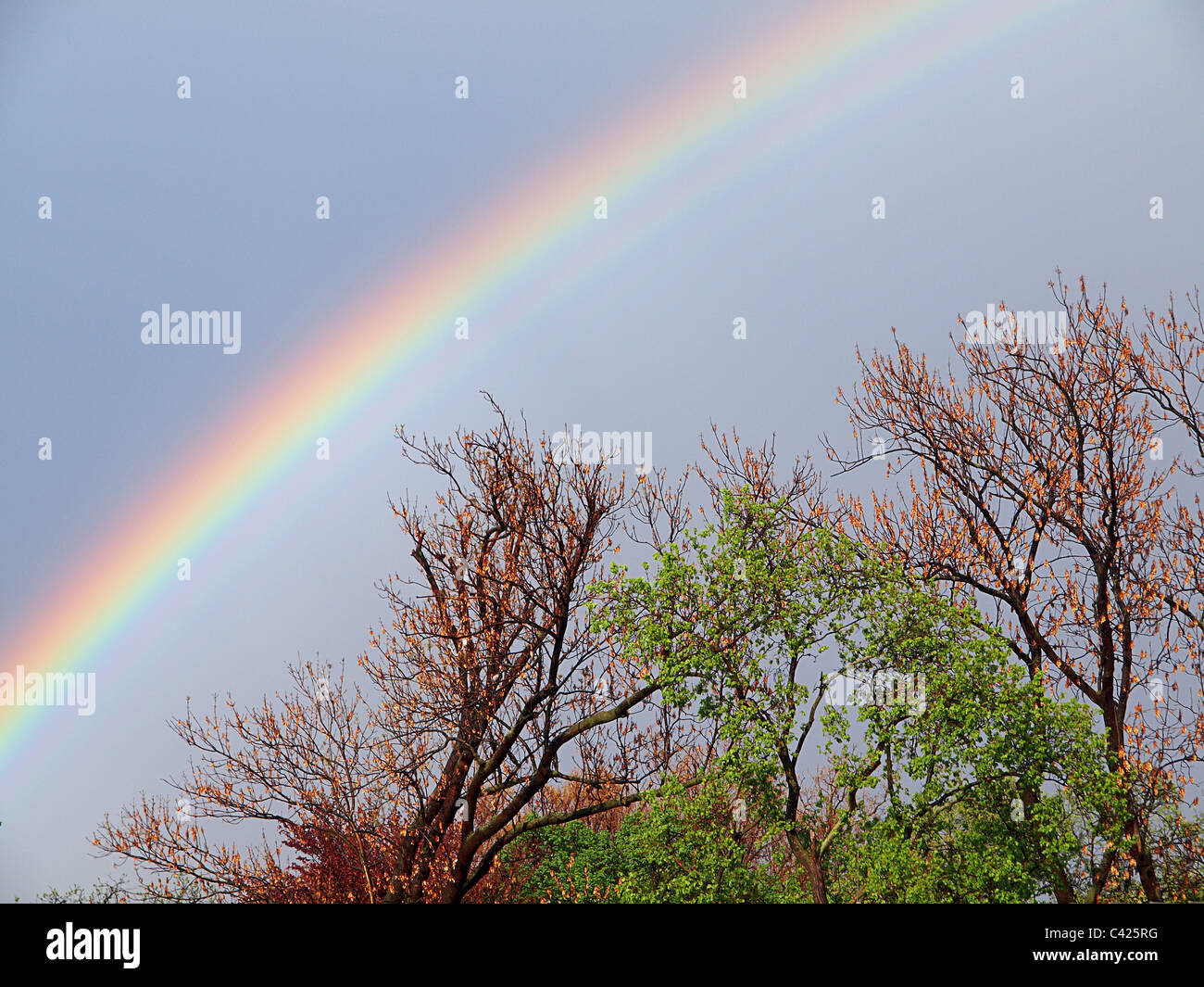Really rainbow hi-res stock photography and images - Alamy