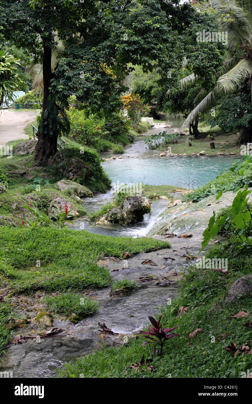 TRANQUIL RIVER SCENE VANUATU VERTICAL BDA Stock Photo - Alamy