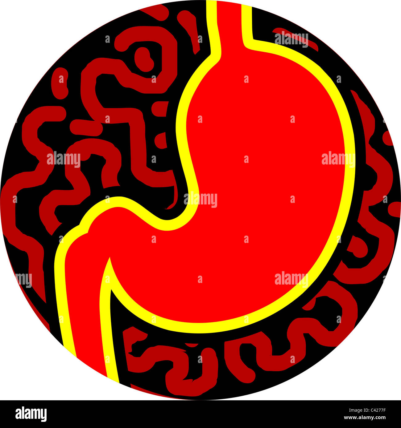 human stomach red colour Stock Photo - Alamy