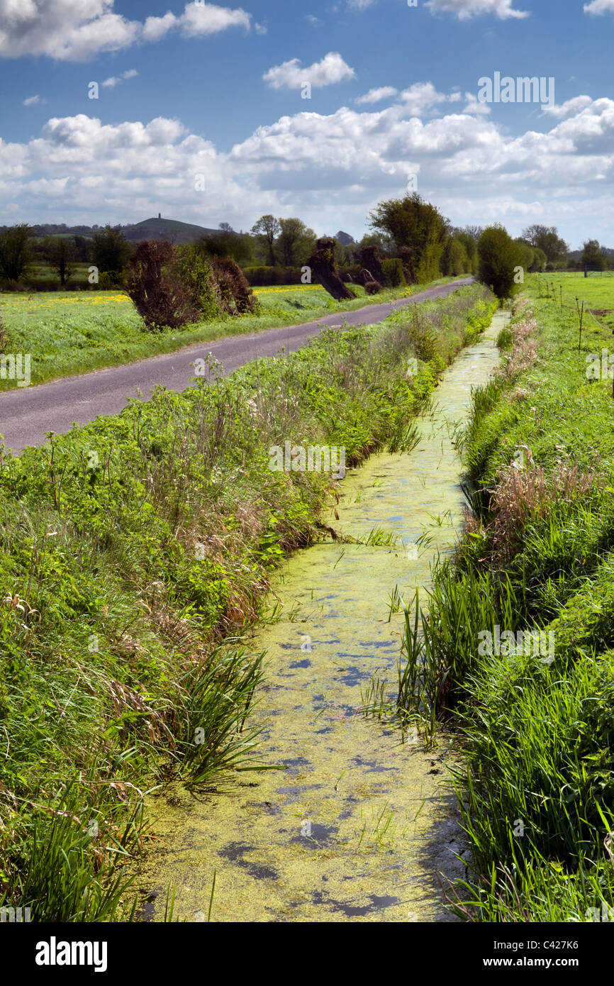 Rural scene of road and drainage channel, or reen, taken on Somerset ...