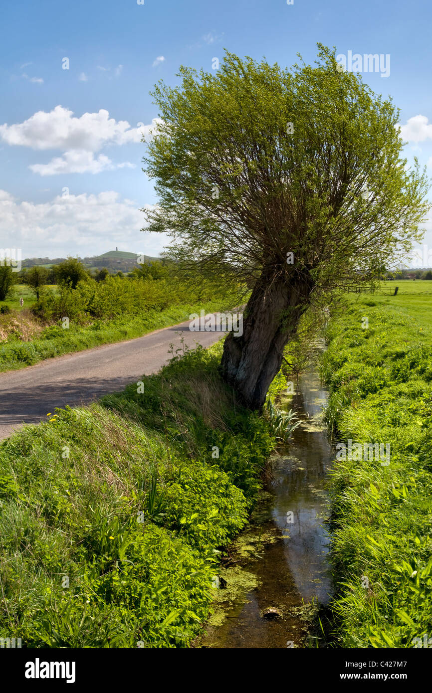 Rural scene of road and drainage channel, or reen, taken on Somerset ...