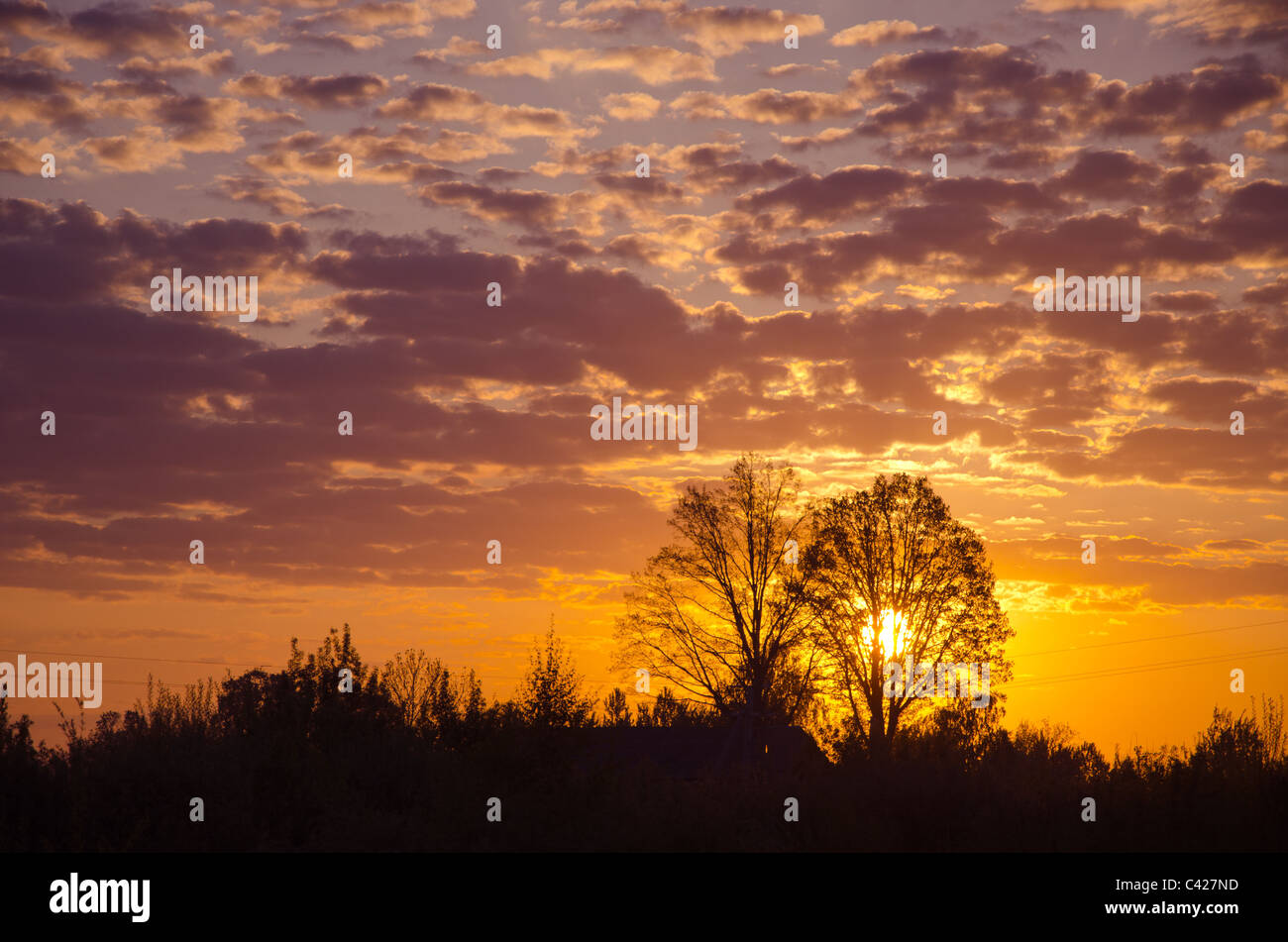 Early spring landscapes sunshine hi-res stock photography and images ...