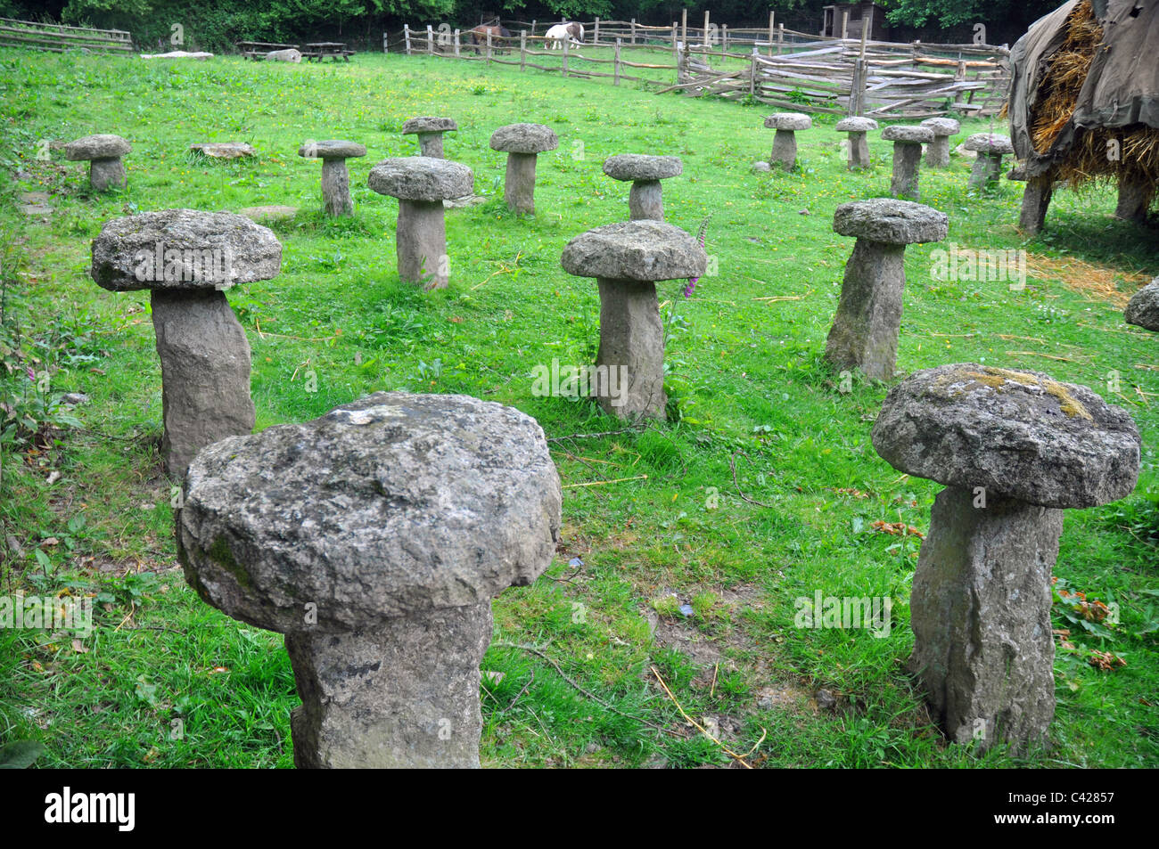 Staddle Stones Stock Photos & Staddle Stones Stock Images - Alamy