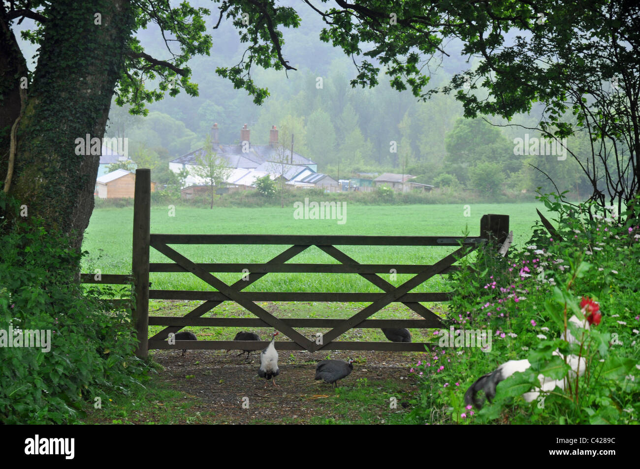 Morwellham Quay Devon England: part of the historic exhibits Stock ...
