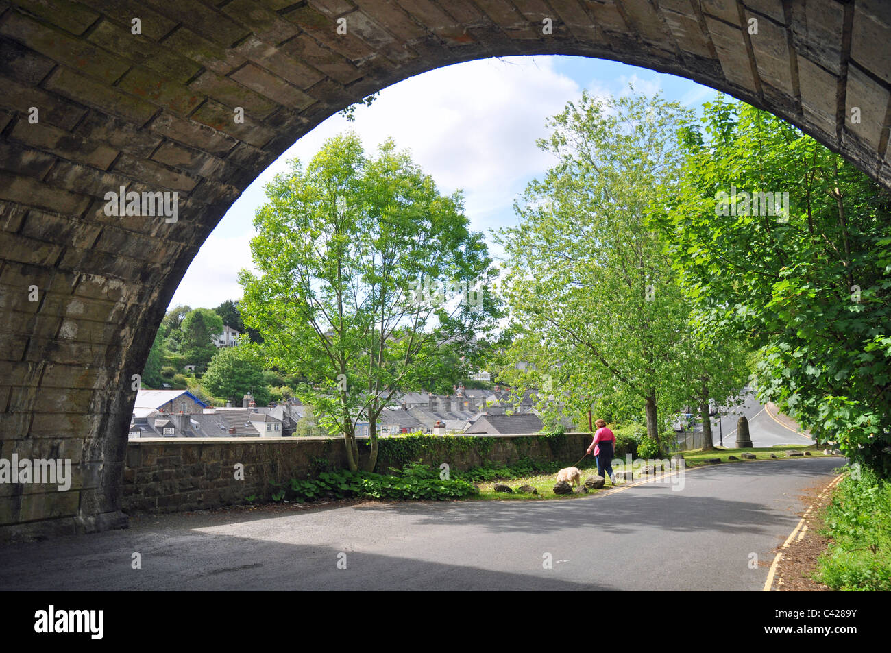 Tavistock viaduct hi-res stock photography and images - Alamy