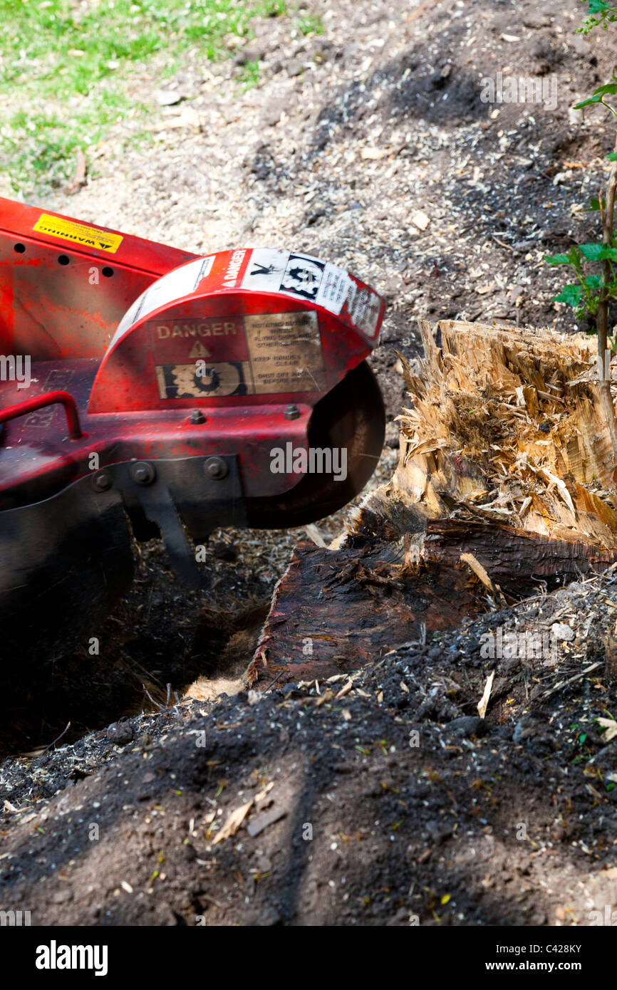 Stump grinder tree hi-res stock photography and images - Alamy